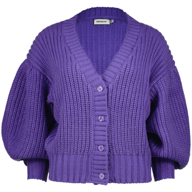 RAIZZED Lexie cardigan Cool purple | Prettywomen Fashionstore